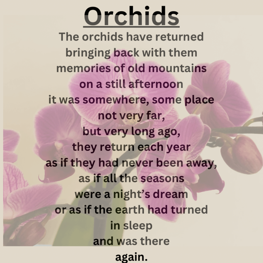 Mamang Dai Poems : Check Latest Poems of Mamang Dai - Poems For All Things